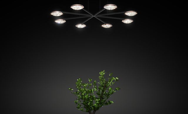 Manooi Origo Star Crystal Chandelier for UAE Villas - Manooi - Lighting ...